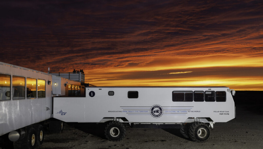 Silent Electric Buggy Revolutionizes Polar Bear Conservation - SolarVision